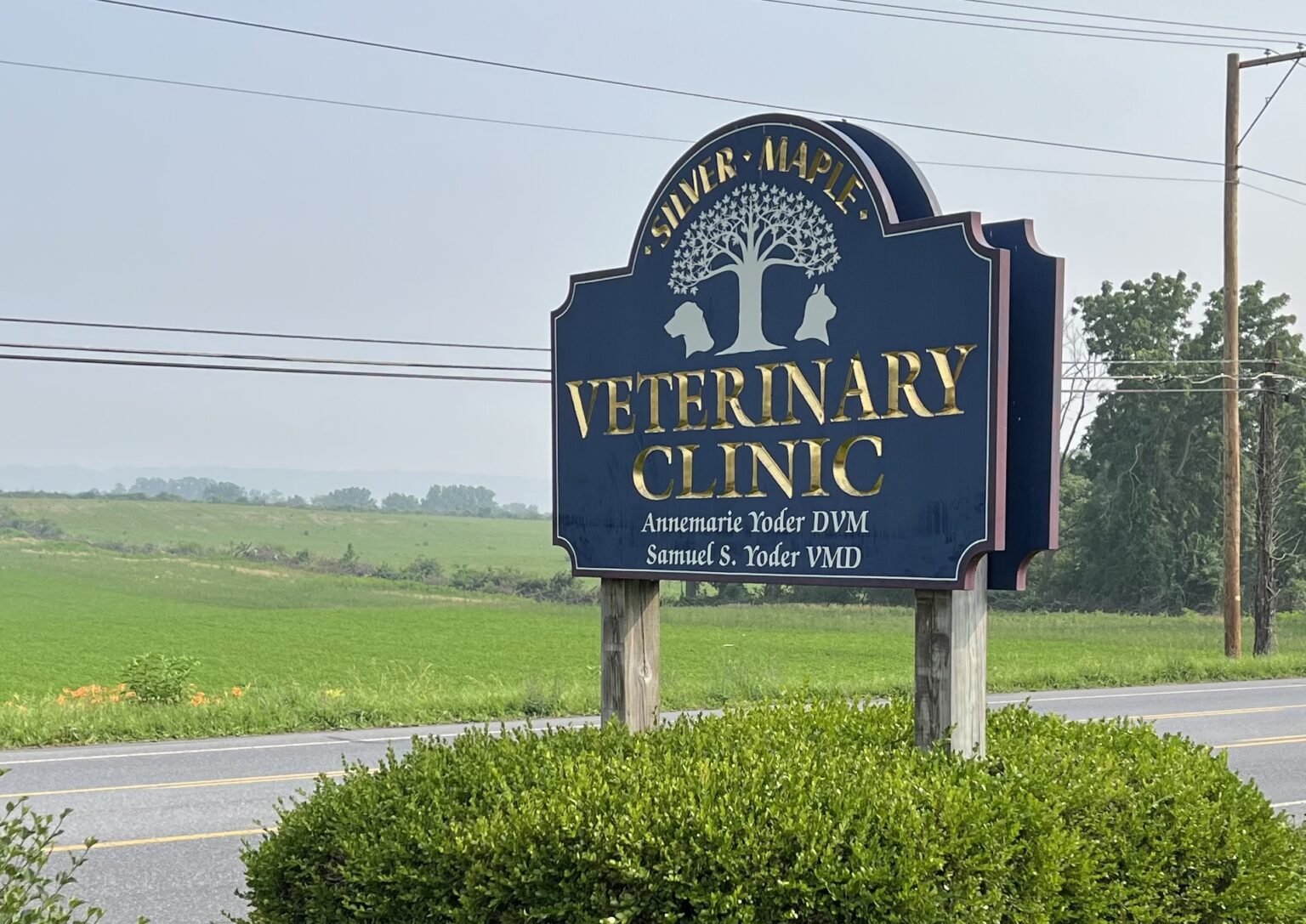 Careers - Silver Maple Veterinary Clinic