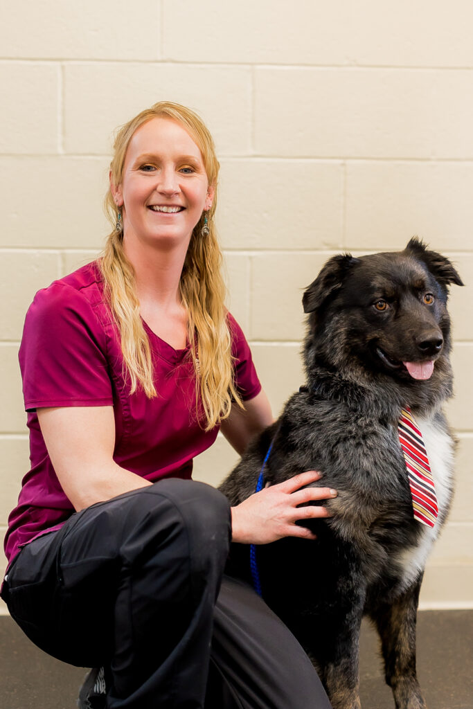 Our Team - Silver Maple Veterinary Clinic